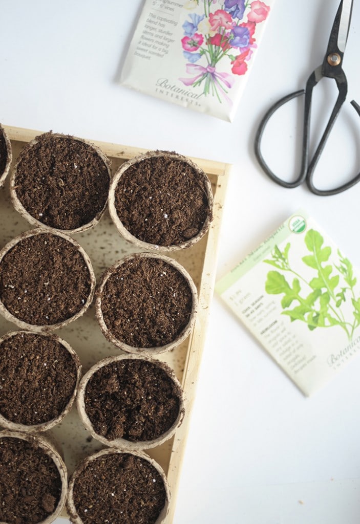 Free Printable Spring Planting Party Invitations - Alice and Lois