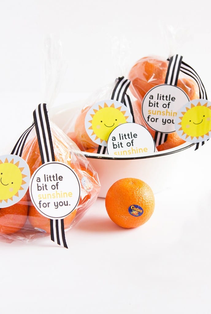 Potty Training Printables