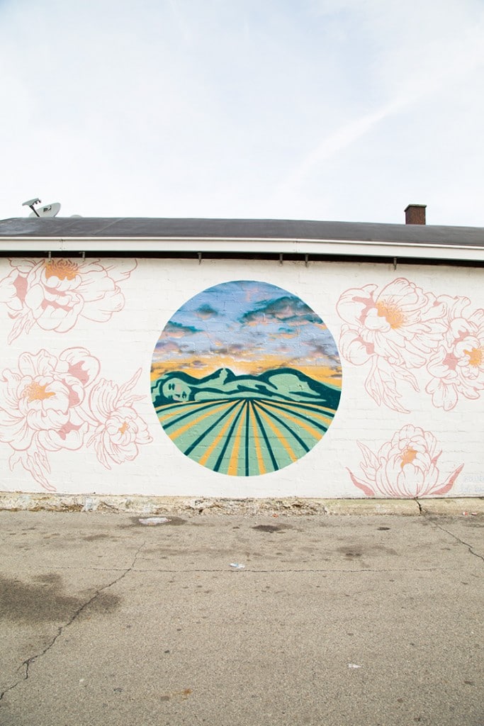 15 Favorite Outdoor Murals in Indianapolis - Alice and Lois