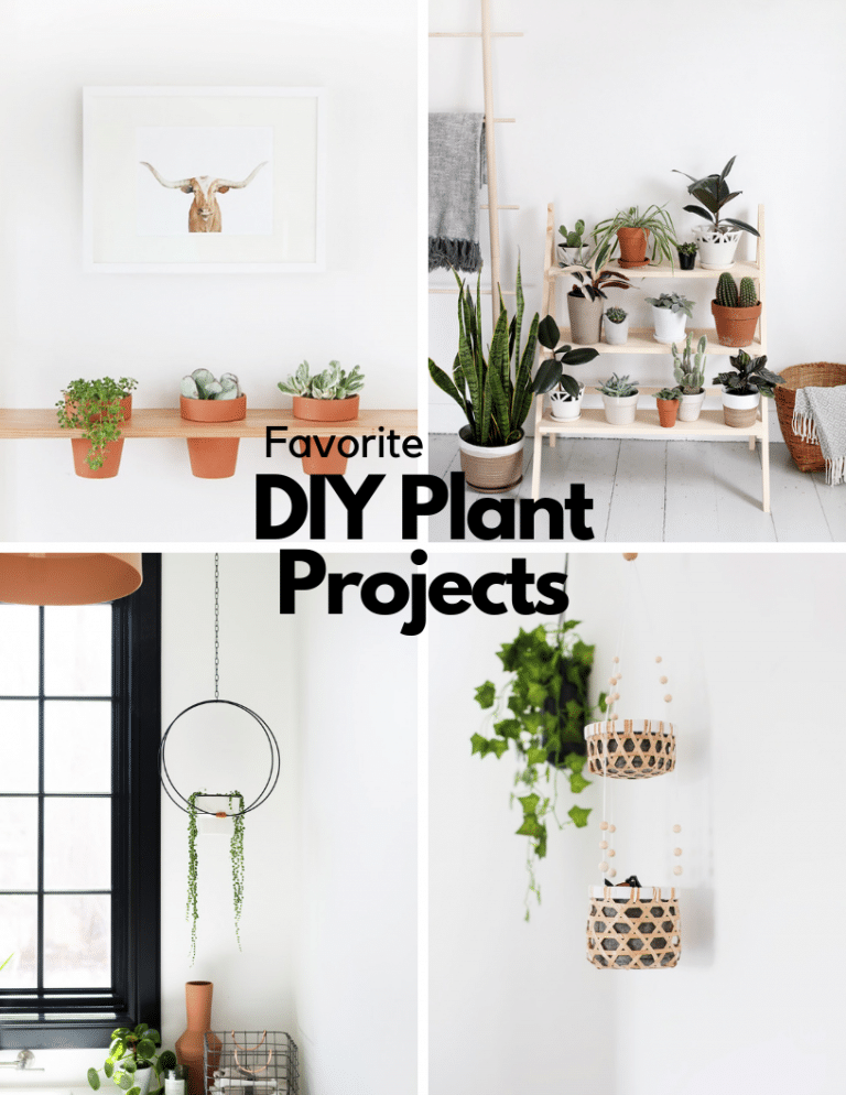 Favorite DIY Plant Projects - Alice and Lois