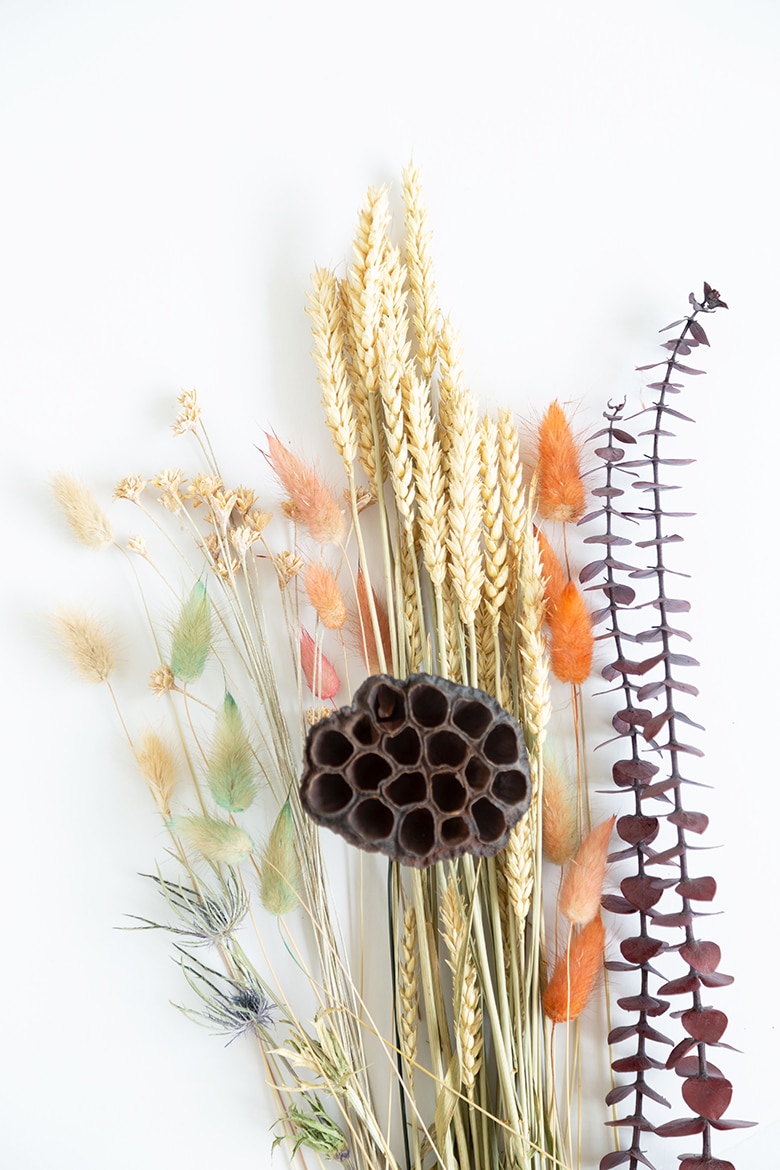 Fall Dried Flower Arrangement With Dyed Bunny Tail Grass Alice And Lois