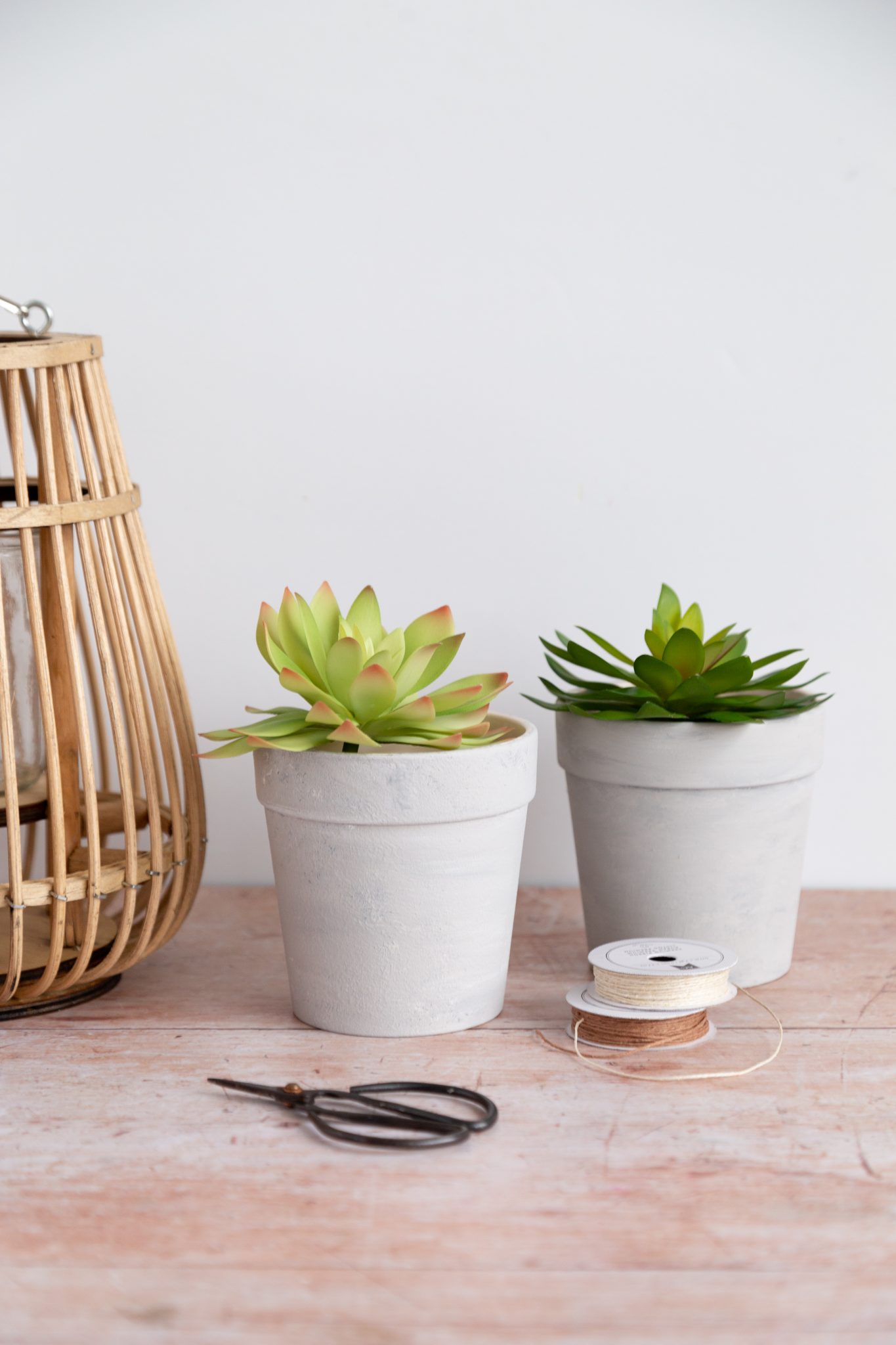 Simple Painted Pots for plants - Alice and Lois