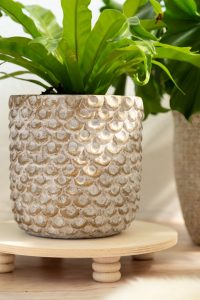 DIY Plant Risers - Alice and Lois