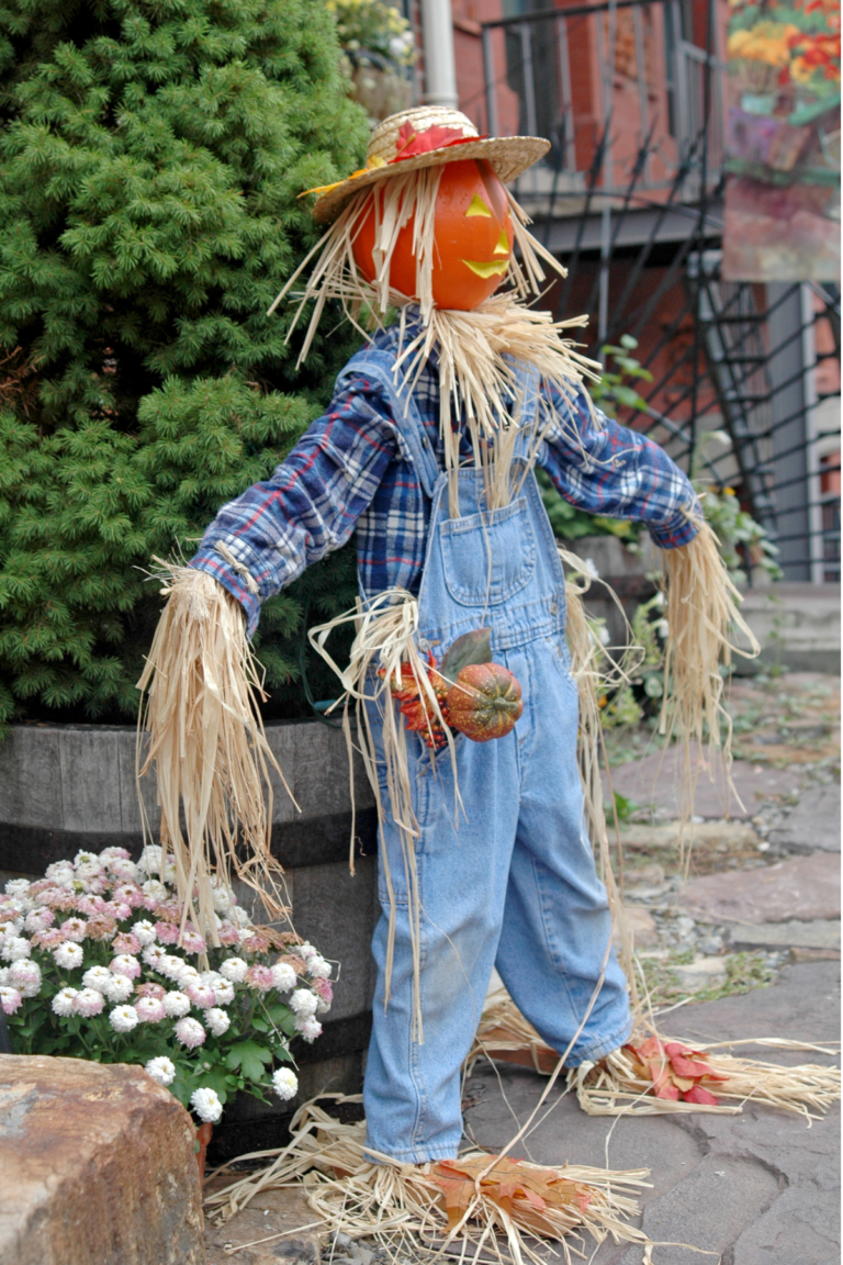 Favorite Fall Backyard Party Ideas - Alice and Lois